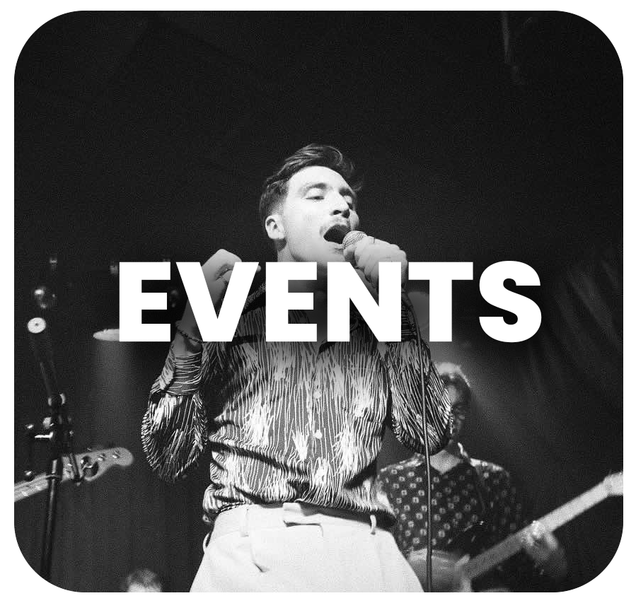 7bb0a7f2-8948-4565-a8e5-8ec8b981ba52-copy – TURTLE TEMPO